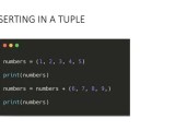 Part 6 Python Tutorial Tuples In Python With Examples Pptx