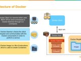 What Is A Docker Container Docker Container Tutorial For Beginners