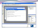 Working With Visual Basic Applications Pptx