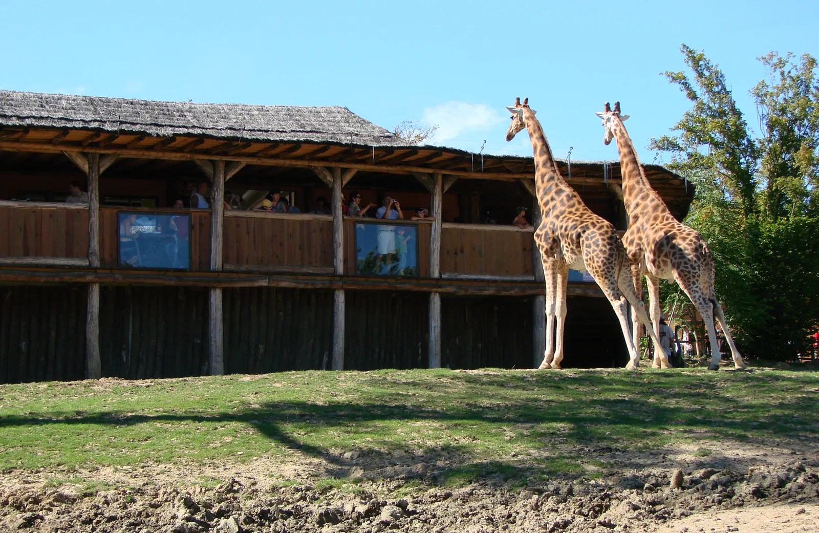 Amnéville Zoo Amnéville Visitor Information Reviews