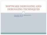 Ppt Software Debugging And Debugging Techniques Powerpoint
