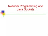 Ppt Network Programming And Java Sockets Powerpoint Presentation