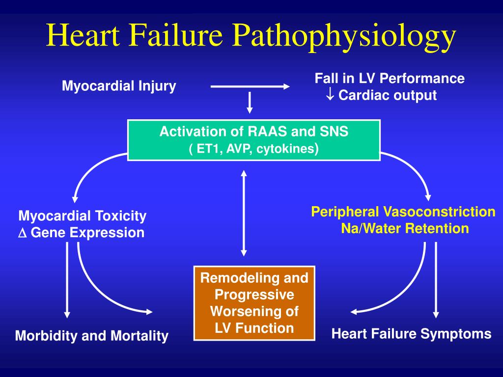 Pathophysiology Of Heart Failure Ppt COJPFI pathophysiology-of-heart-failure-ppt-cojpfi