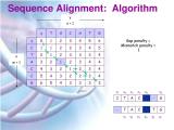 Ppt Exploring Sequence Alignment In Computational Biology Powerpoint