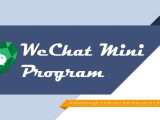 Ppt Wechat Mini Program Wechat Marketing Wechat Powerpoint
