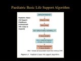 Ppt Basic Paediatric Life Support Powerpoint Presentation Free
