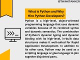 Ppt Why Hire Python Developers Powerpoint Presentation Free