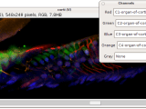 Jython Scripting Examples