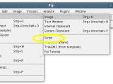 Using The Script Editor