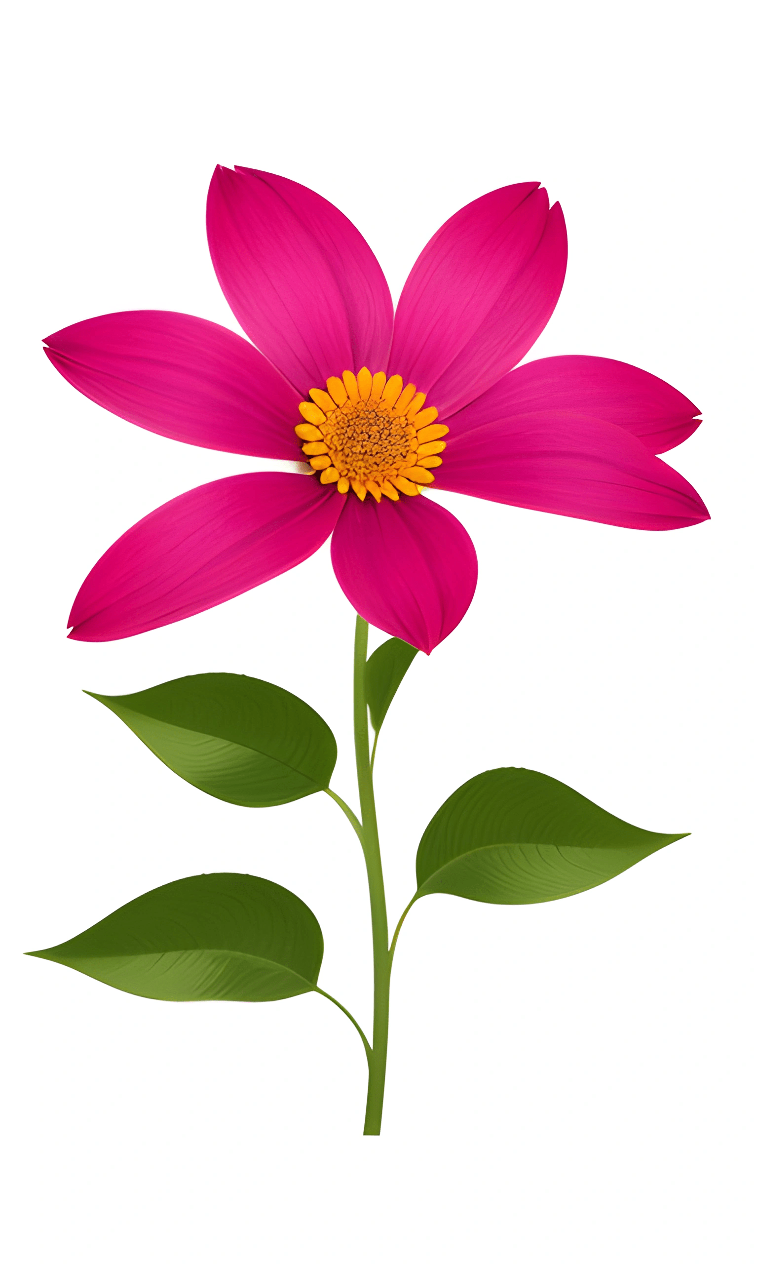 Vibrant Pink Flower Illustration Free Download Ai Scribbles