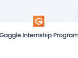 Gaggle Internship Program Comparably