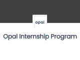 Opal Internship Program Comparably