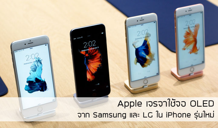 Apple เจรจาใช้จอ OLED จาก Samsung และ LG ใน iPhone รุ่นใหม่ | techfeedthai