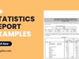 Statistics Report 11 Examples Format How To Write Pdf