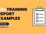 Training Report Sample Of Post Training Report Get Reliable Templates