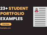22 Student Portfolio Examples To Download