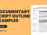 Documentary Script Outline Examples Pdf