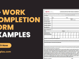 7 Work Completion Form Examples To Download