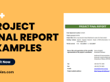 Project Final Report 19 Examples Format Pdf