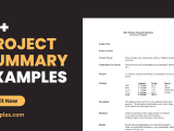 Project Summary
