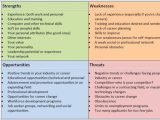 Personal Career Swot Analysis