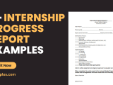9 Internship Progress Report Examples To Download