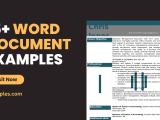 15 Word Document Examples To Download