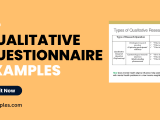 15 Qualitative Questionnaire Examples