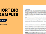 Short Bio Examples Pdf Examples