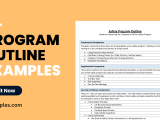 Free Program Outline Examples 8 Samples In Pdf Doc Examples