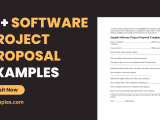 13 Software Project Proposal Examples