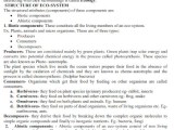 Ecosystem 99 Examples How To Illustrate Pdf