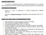 14 Sql Resume Examples To Download