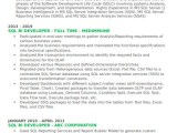 14 Sql Resume Examples To Download