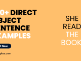99 Direct Object Sentence Examples
