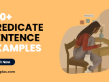 99 Predicate Sentence Examples