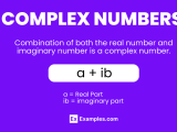 Complex Numbers Formula Notation Differences Graphical Representation