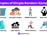 35 Simple Random Sampling Examples To Download
