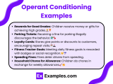 Operant Conditioning 50 Examples Types Skinner S Theory Process
