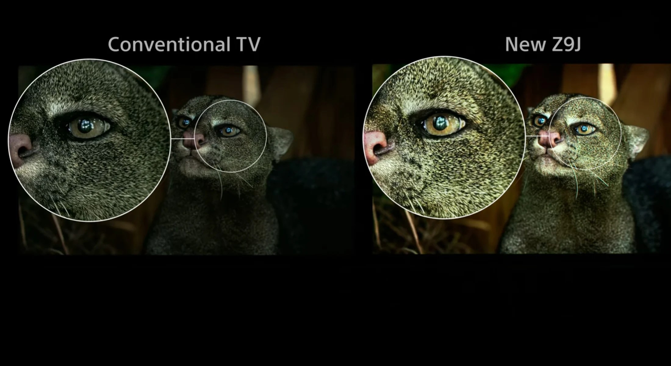 Sony XR Processor ou l'intelligence ultime pour vos TV en 2021