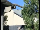 Huge Huge Python Shown Slithering From Rooftop To