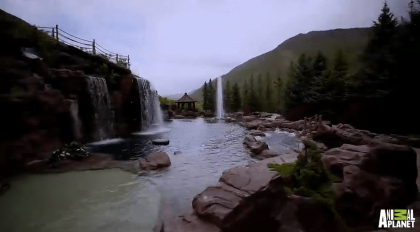 The incredible science behind this $2,000,000 garden pool