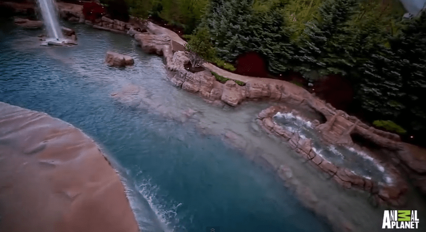 The incredible science behind this $2,000,000 garden pool