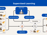 Types Of Machine Learning Supervised Unsupervised More