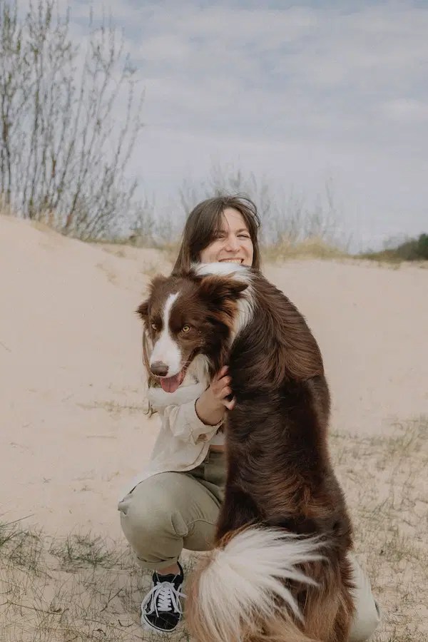 A Comprehensive Guide 5 Reasons Why Do Female Dogs Hump