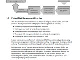 17 Free Project Risk Management Plan Samples To Download