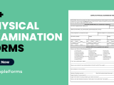 Free 13 Sample Physical Examination Forms In Pdf Ms Word Excel