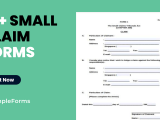 Free 10 Sample Small Claim Forms In Pdf Ms Word