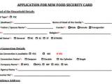 Free 11 Security Application Forms In Pdf Ms Word