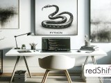 Python Developer Redshift Recruiting